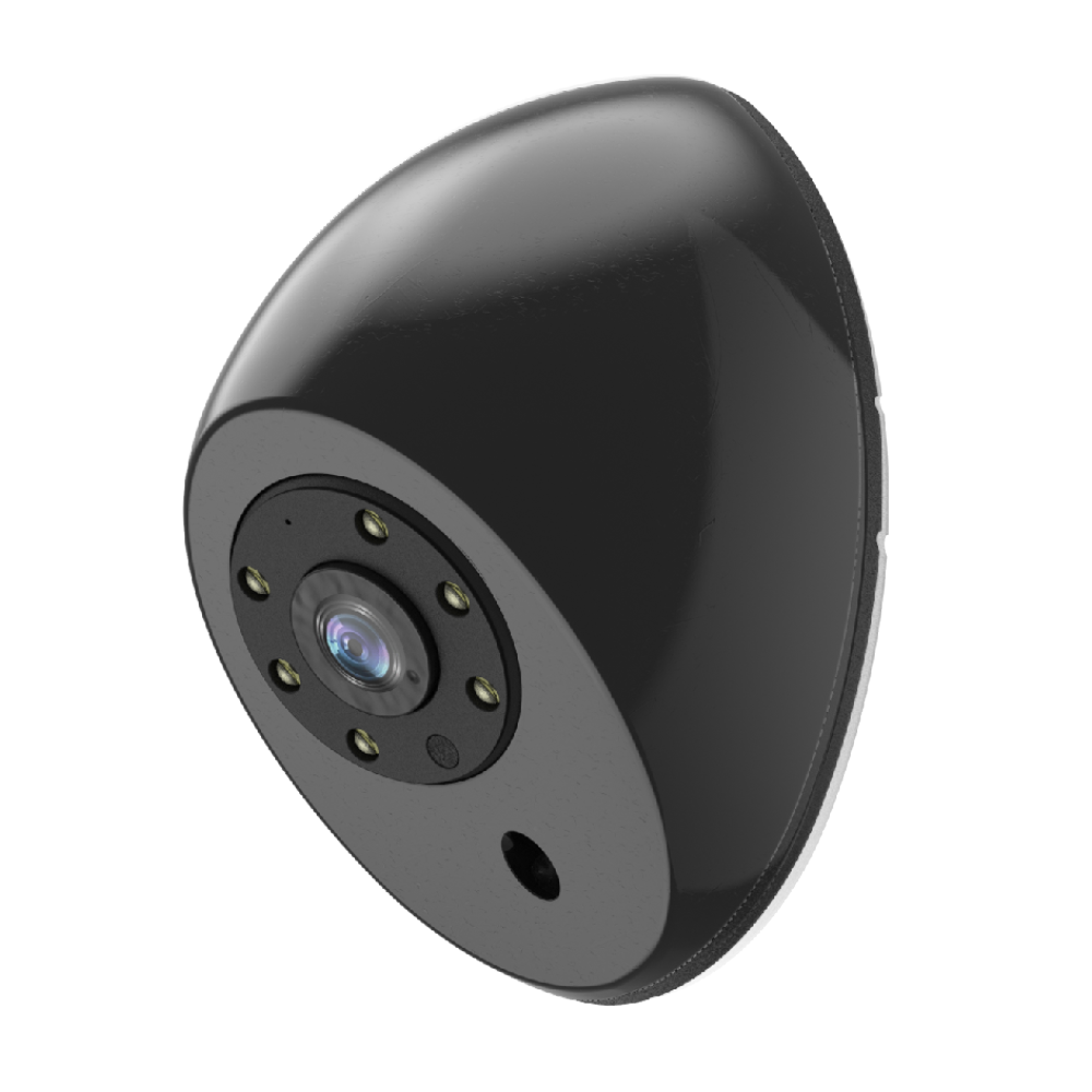 Side And Look Down Camera (Black) – Rosco Vision | Shop